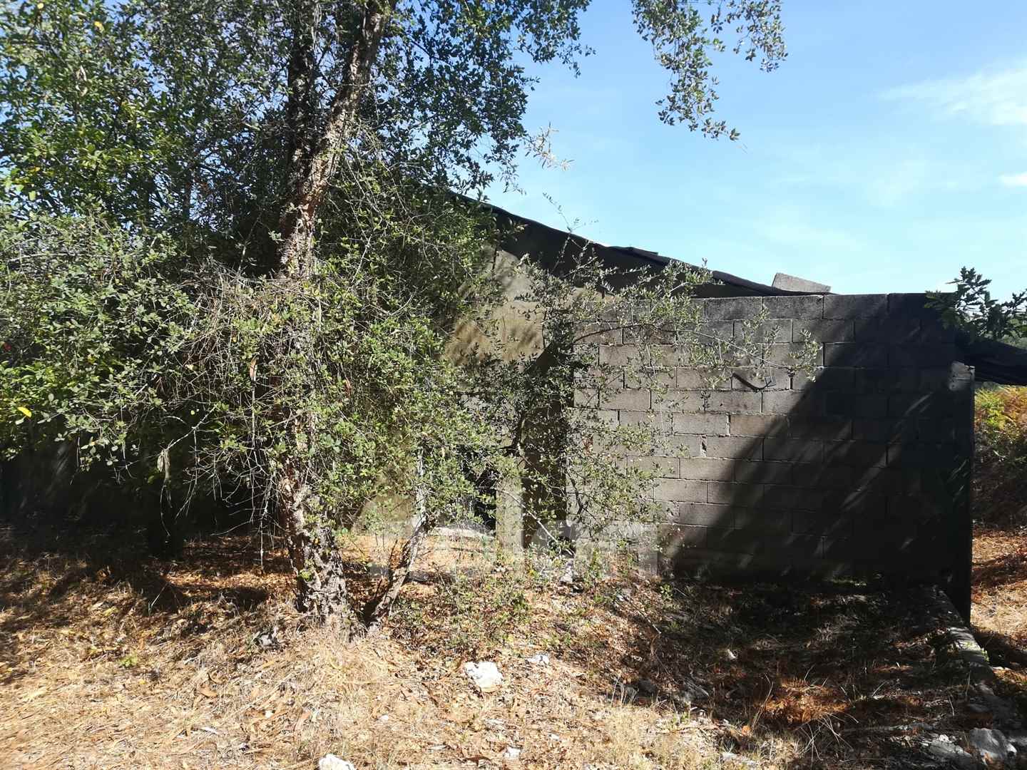 Armazém, 1.000 M2, em Uf Amoreira da Gândara, Paredes do Bairro e Ancas ...
